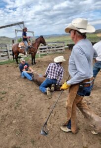 Full-time Ranch Hand needed at Working Cattle Ranch & Hay Operation in ...