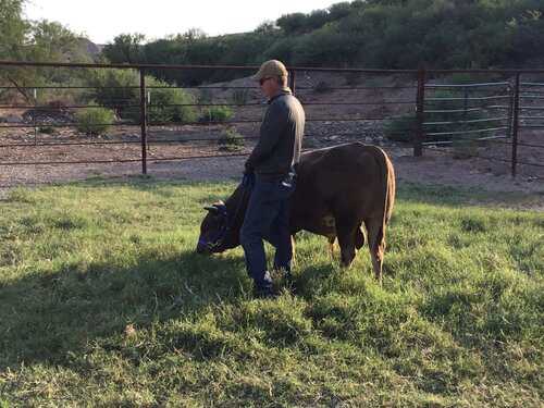 Position Wanted: Ranch Handyman / Laborer - RanchWork.com