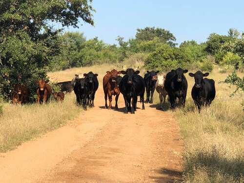 Part-time Ranch Hand needed at Family-owned 900-acre ranch in Gillespie ...
