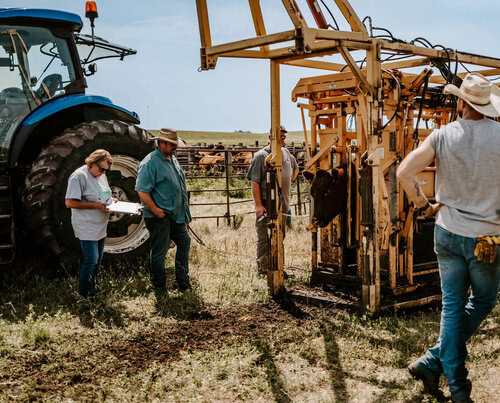 Entry Level Ranch Hand Job at Well-established Seedstock Operation in ...
