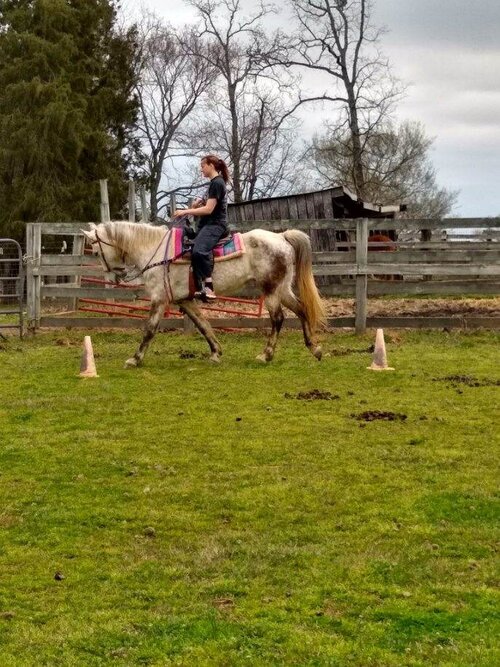 Position Wanted: Versatile Ranch Hand with Diverse Experience seeking ...