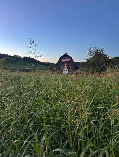 Farm Help needed in Franklin, Tennessee - RanchWork.com