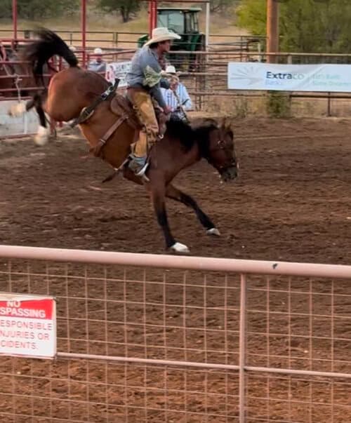 Position Wanted: Seeking Ranch Hand / Outfitter job opportunity ...