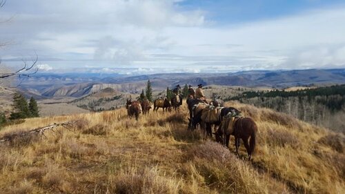 Experienced Wrangler/Packer needed at Outfitter in Colorado ~ Seasonal ...
