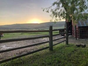 Experienced Ranch Hand / Cowboy needed at eastern Oregon Cow/Calf ...